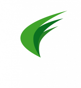Graebert CAD Software - Modern DWG Editing for Desktop, Mobile and Cloud